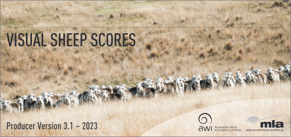 Visual sheep scores guide